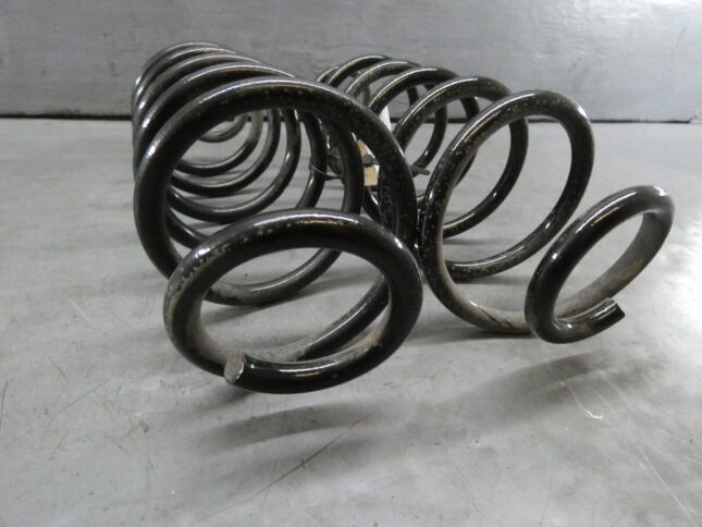 Ford Focus Rear Coil Spring Springs 5dr 1.0 Ecoboost 2022 (PAIR ...