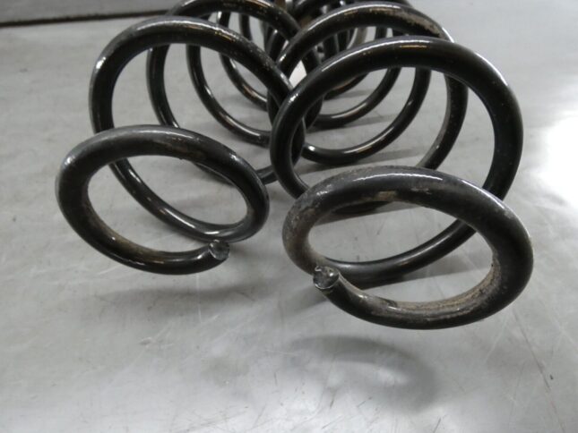 Ford Focus Rear Coil Spring Springs 5dr 1.0 Ecoboost 2022 (PAIR ...