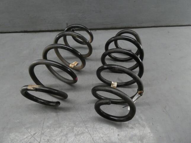 Ford Transit Connect Rear Coil Spring Springs 1.5TDCI 2019 (PAIR ...